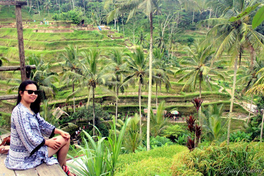 Ini Dia Terasering Sawah Tegallalang Ubud Jadi Tempat Wisata Pedesaan ...